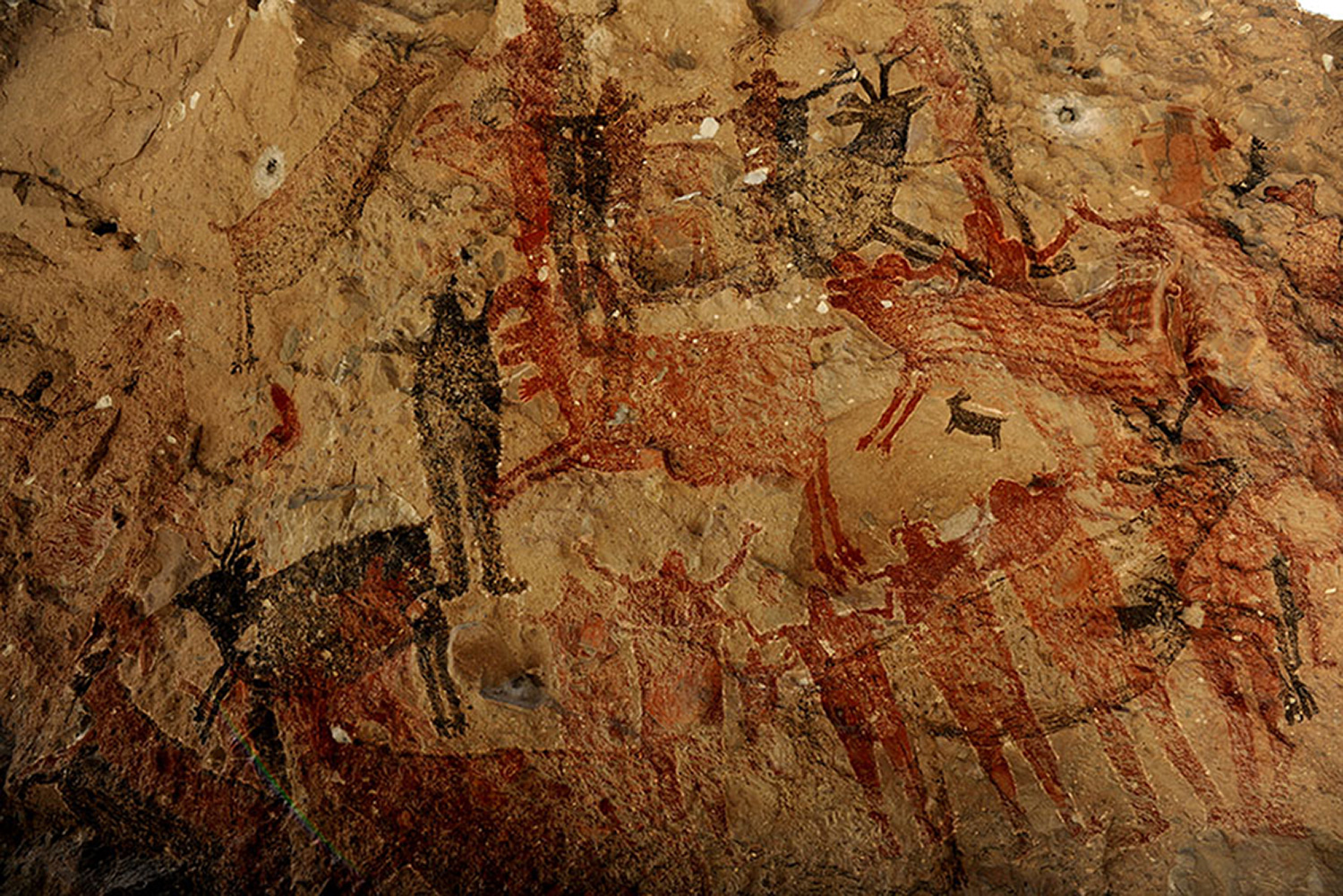 Pinturas “Gran Mural” de BCS, a la vista de expertos internacionales ...