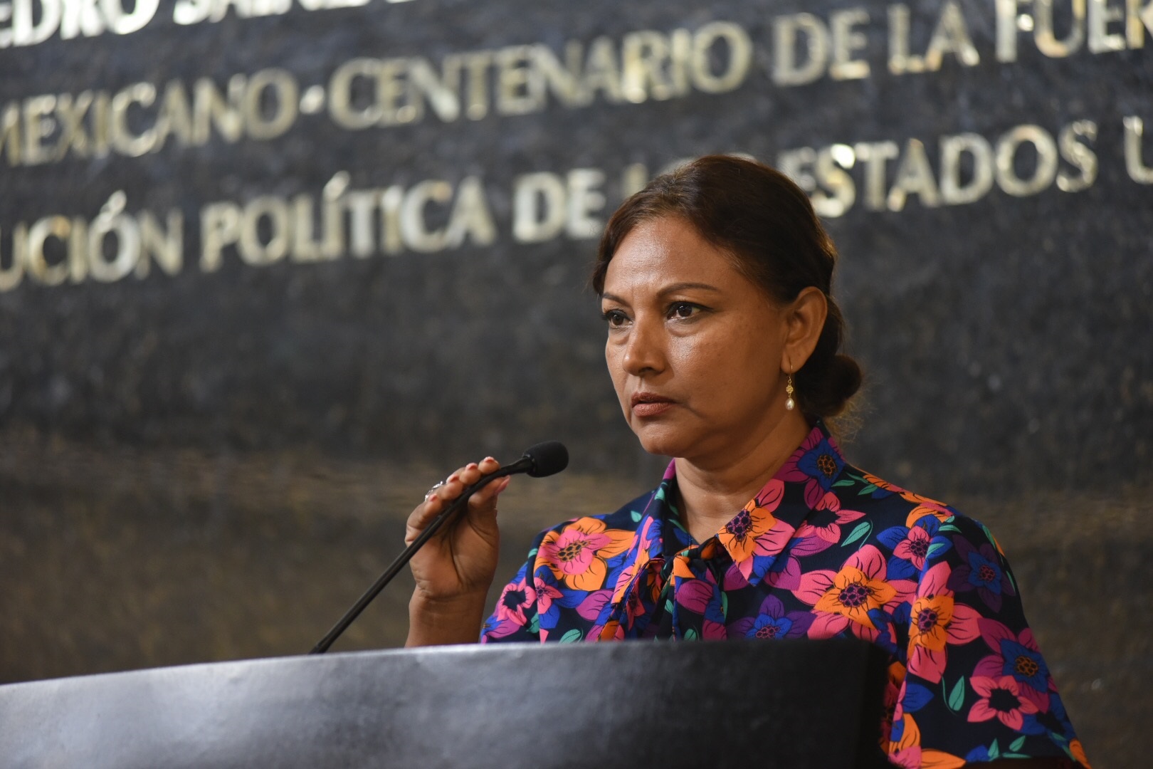 Diputada Taje exige derogar delitos contra libertad de expresión ...