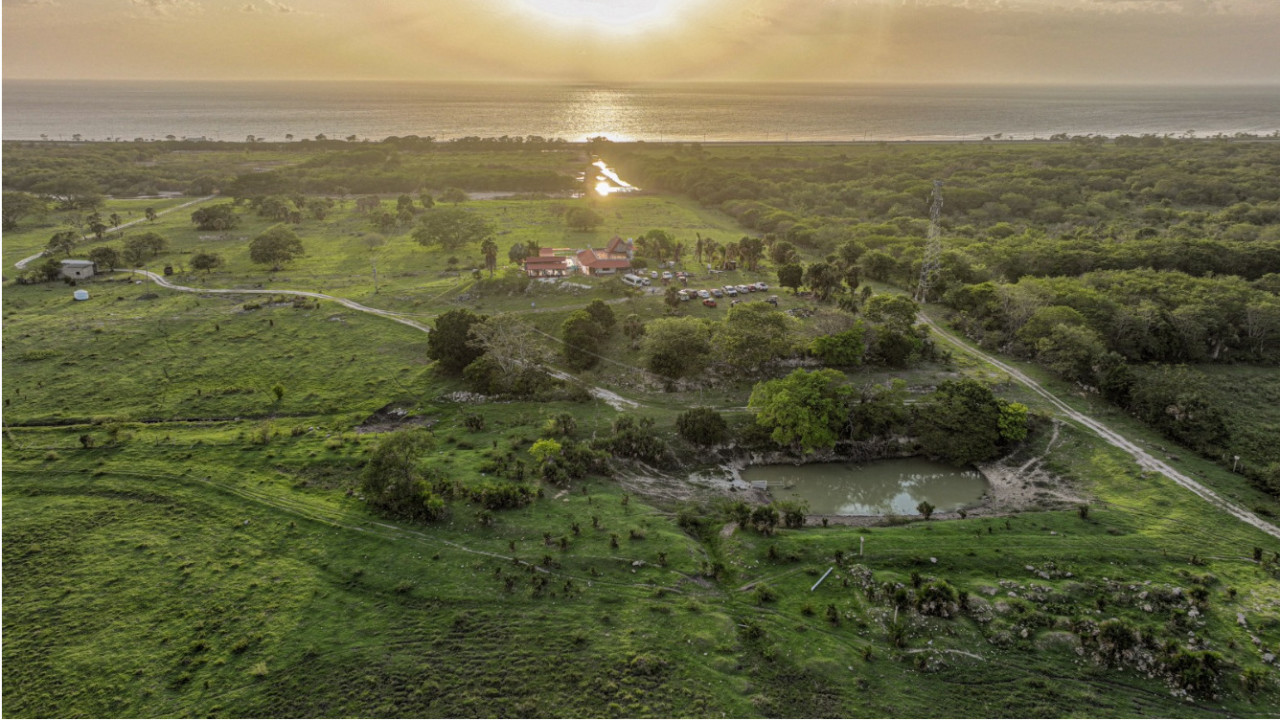 “Marengo I”, en 12,000 hectáreas bajo arrendamiento | Página 66